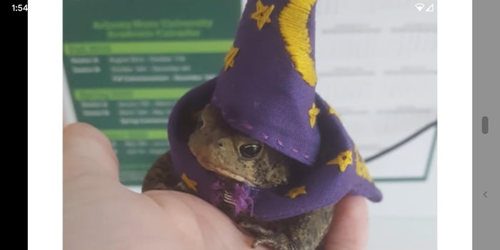 Frogzward the wizard - 9GAG