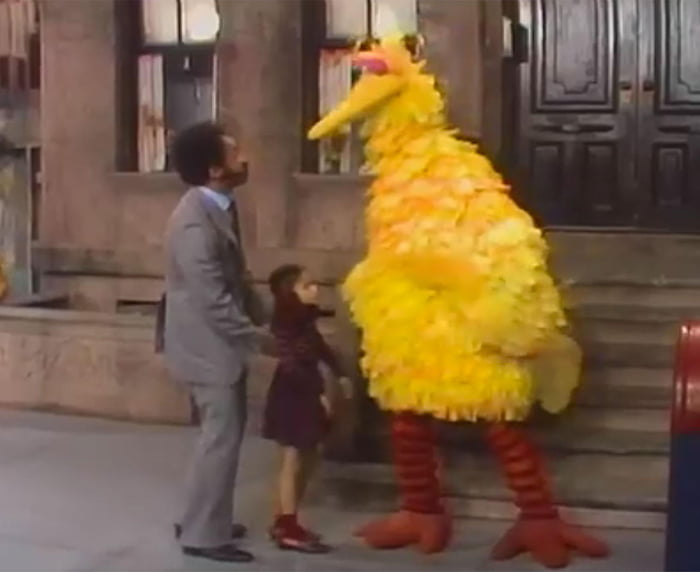 Big Bird in the First Episode of Sesame Street - 9GAG