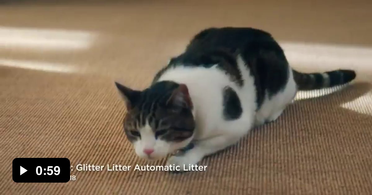 Who came up with this shit..? oh wait it's the cat - 9GAG