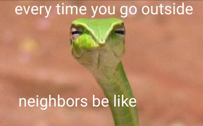 Judgmental snake - 9GAG