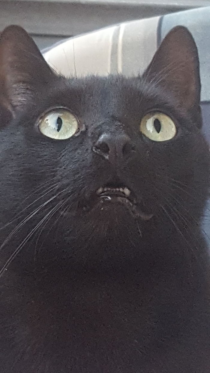 My derp friend - 9GAG