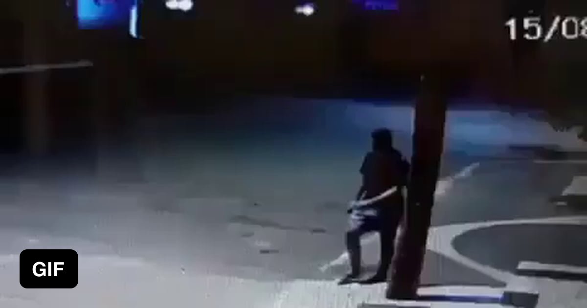 Stray doggo receives act of kindness from stranger - 9GAG