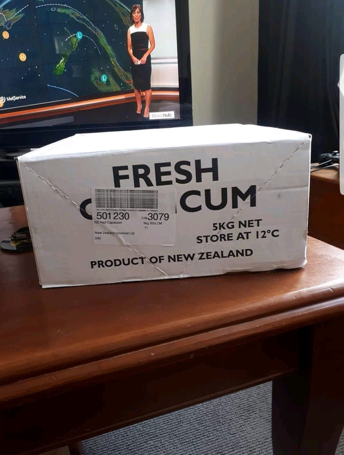 Fresh cum - 9GAG