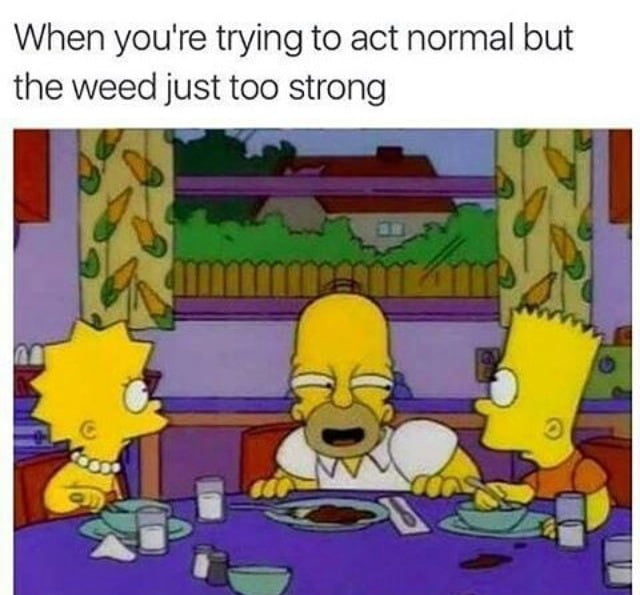 The weed is TOO strong! - 9GAG