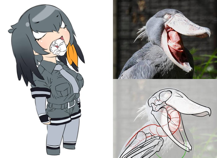Shoebills are cu--- Is that its spine?! - 9GAG