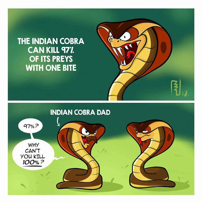 Indian cobra dad.. - 9GAG