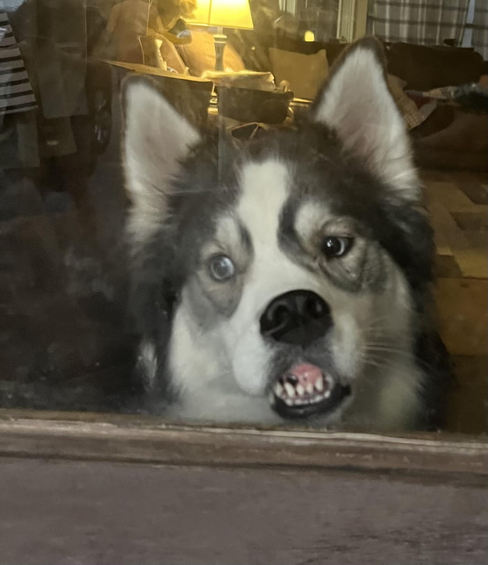 Annie back at it again - 9GAG