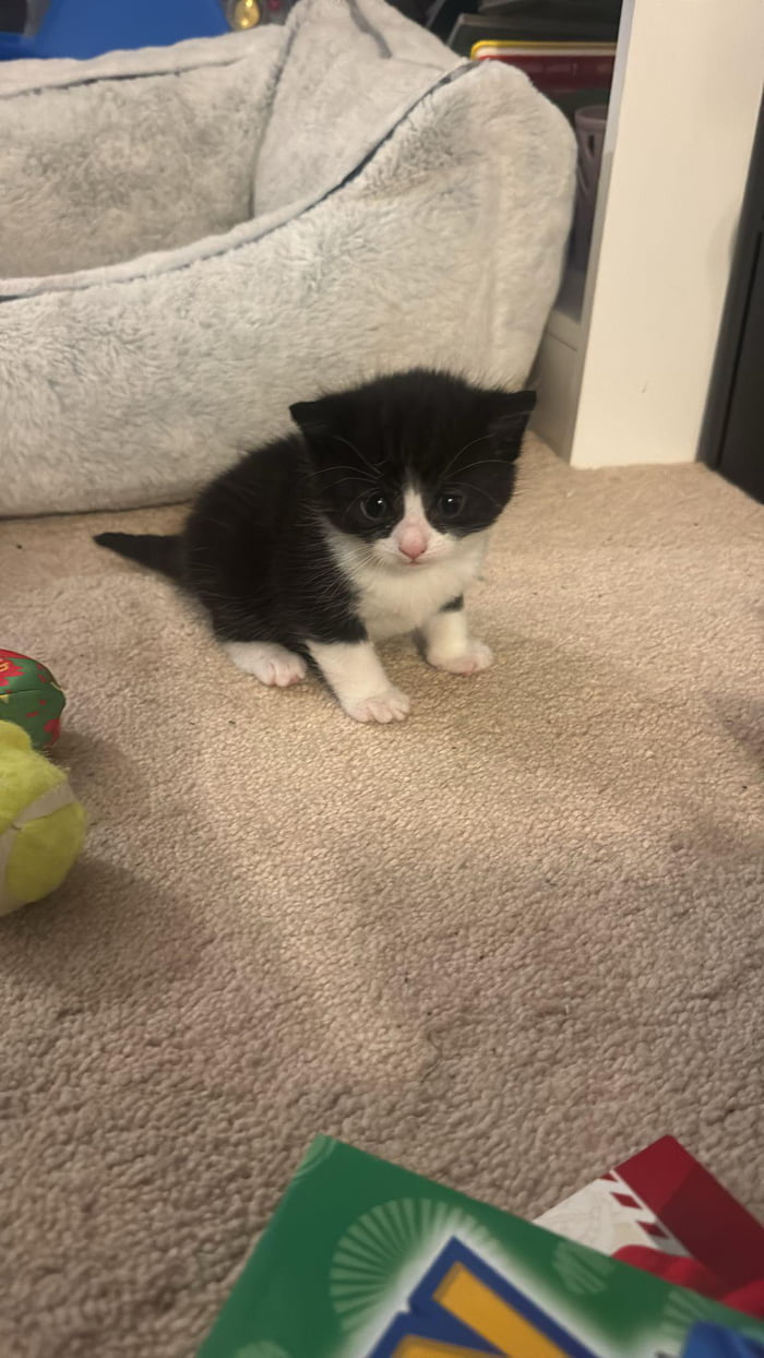 Hey everyone Noel again but with a very special update - 9GAG