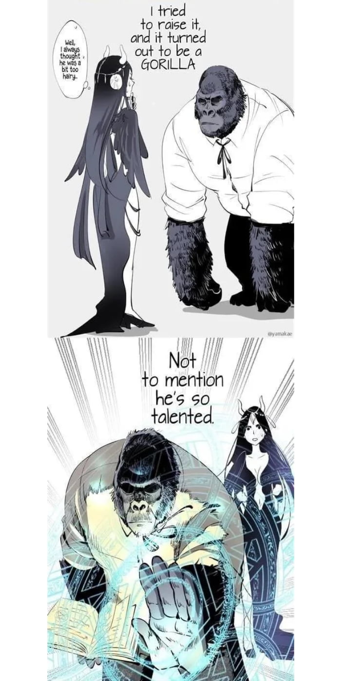 Harambe gets reincarnated into another world - 9GAG
