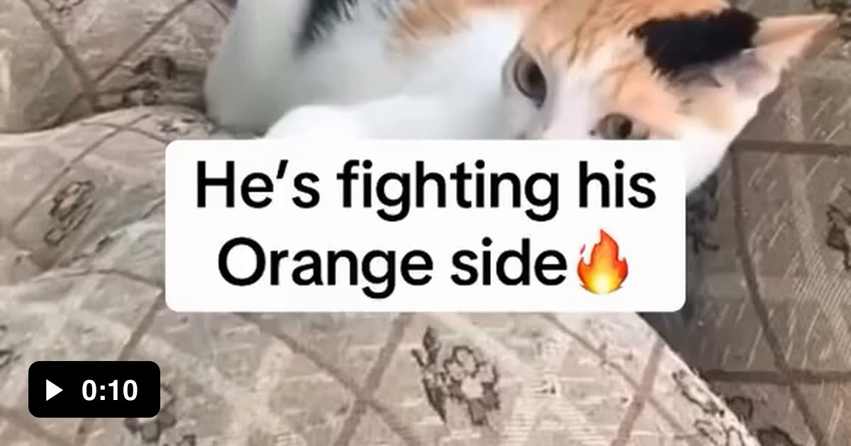 Fighting the orange side - 9GAG