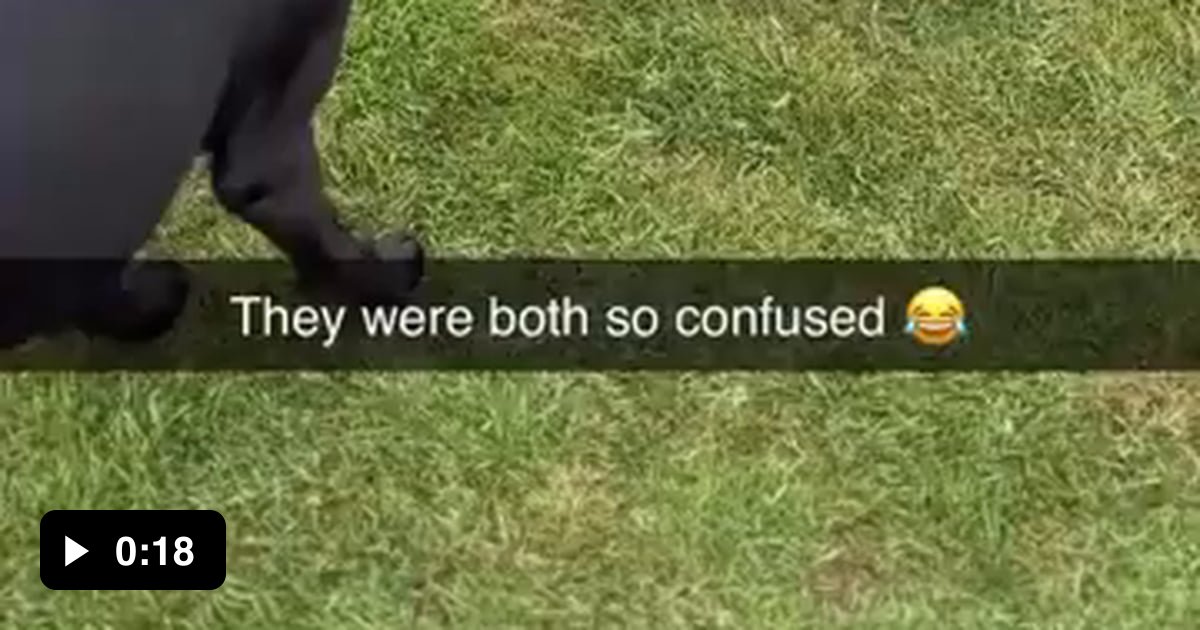 Perfect fake out - 9GAG