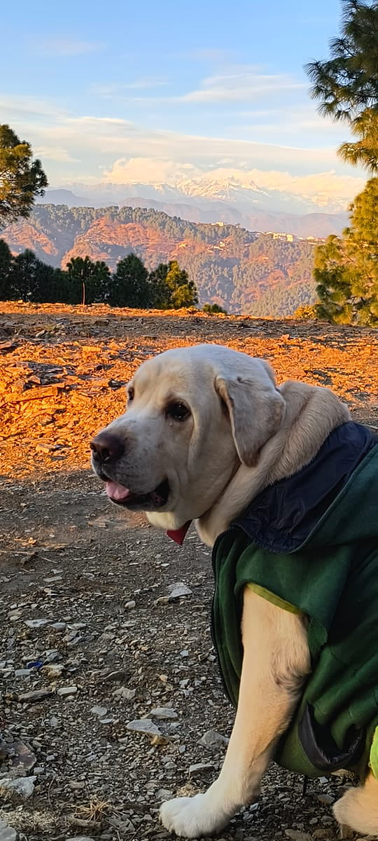 Today, he left me. 12 years of togetherness. Was a good Boi. Hope he is ...