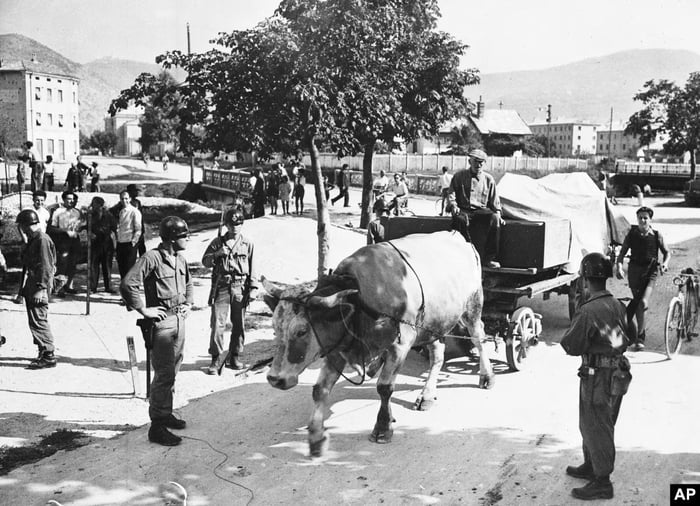 An Italian man leaving the Julian March (becoming Yugoslavia) as new ...