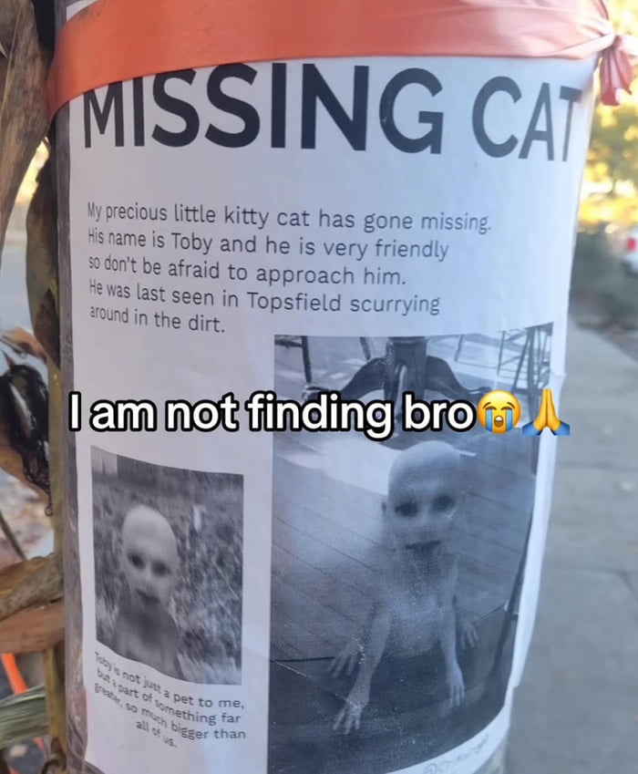 When you're expecting a cat, but get a cryptid instead - 9GAG