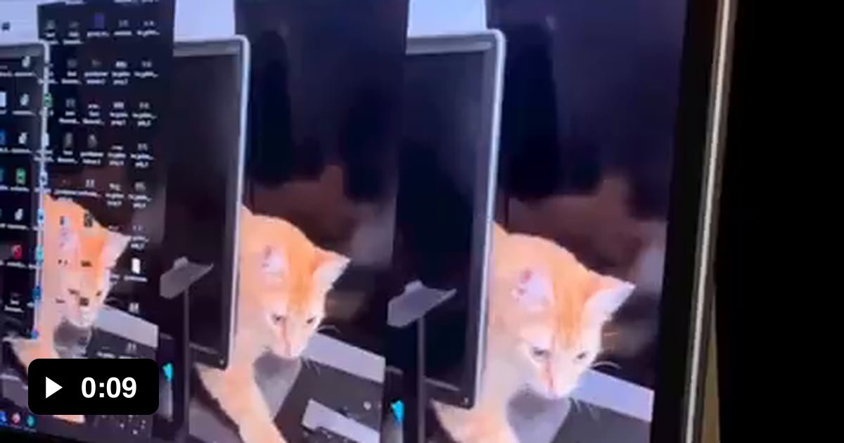 Matrix glitch - 9GAG