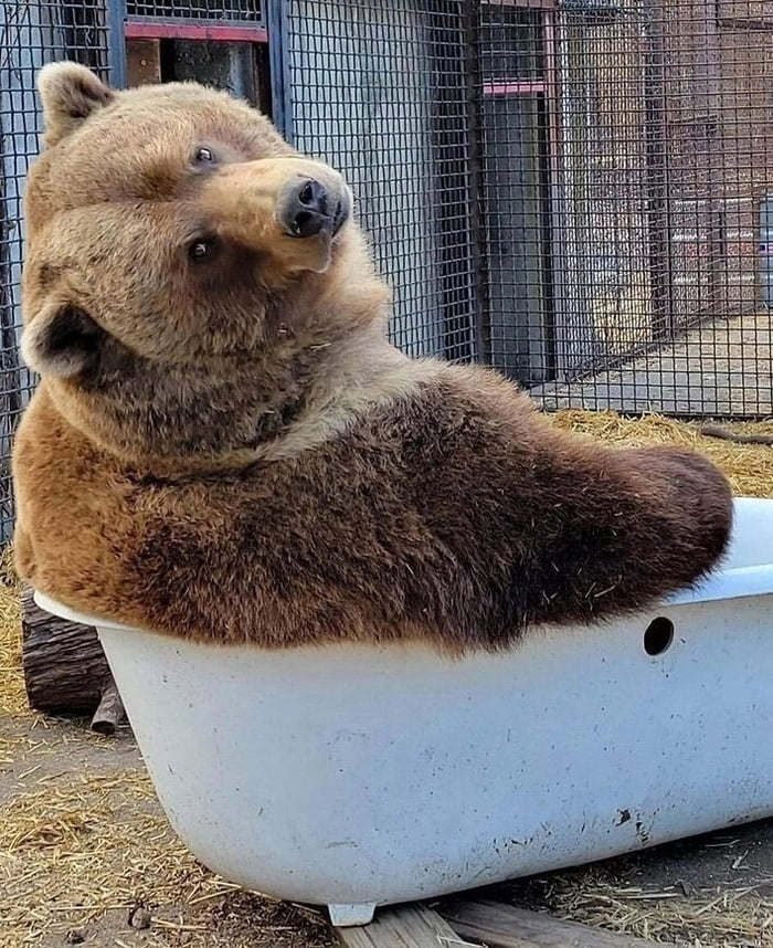 Netflix and chill? - 9GAG