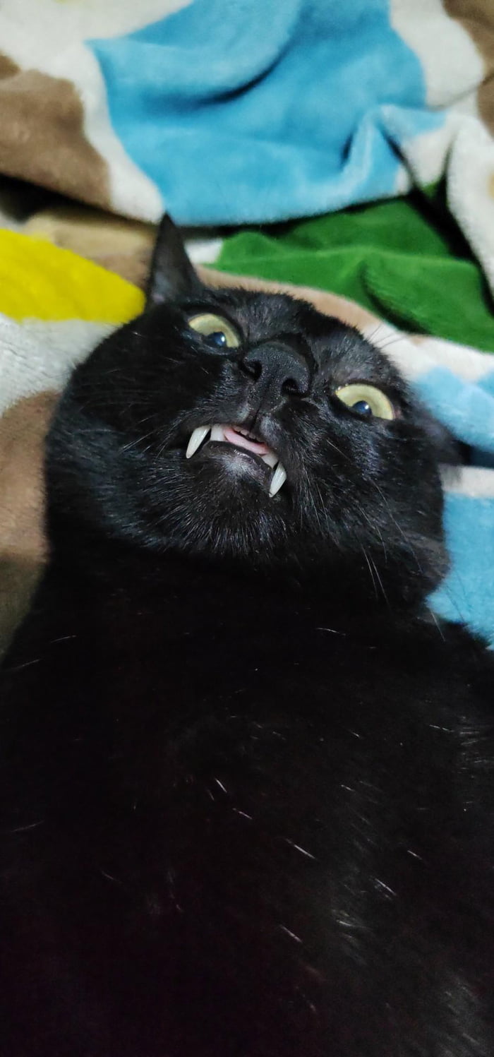 Inky being derpy - 9GAG