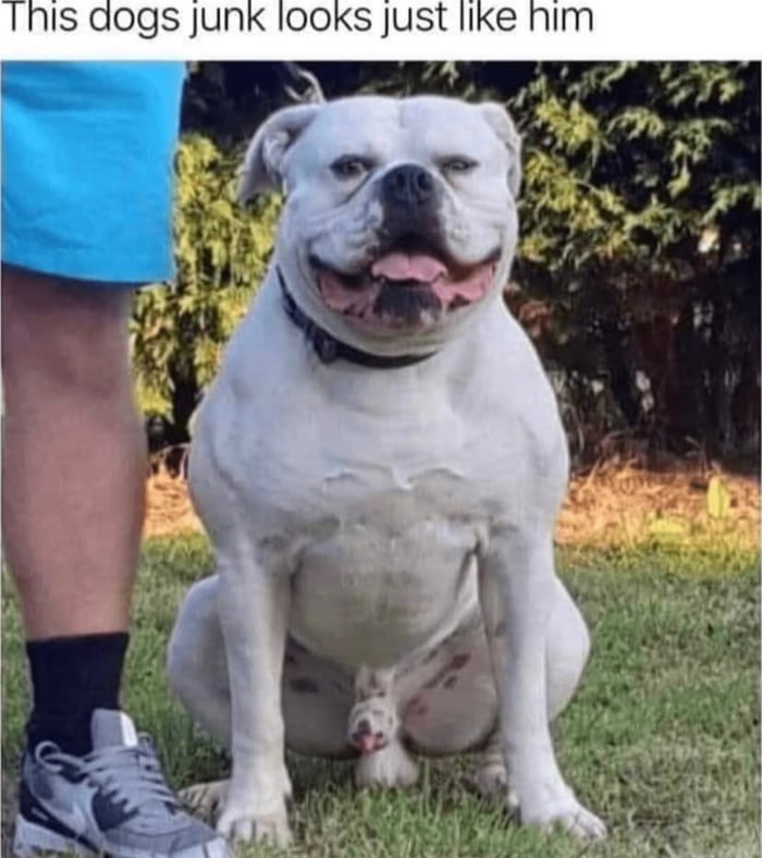 Mini me you complete me - 9GAG