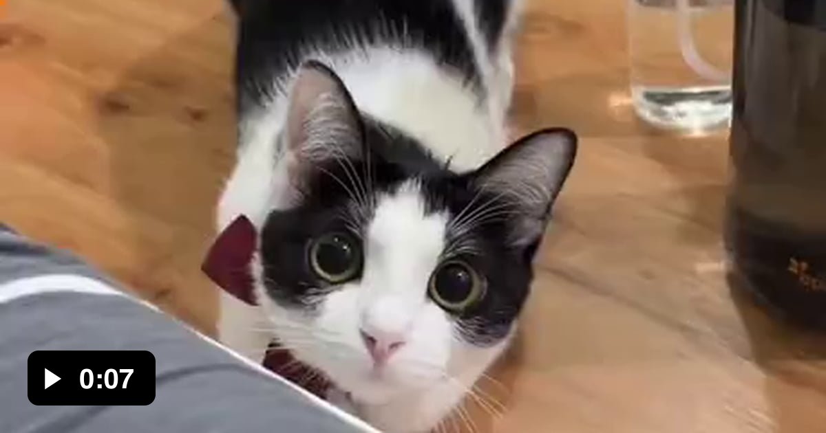 Look at that wiggle (not mine) - 9GAG