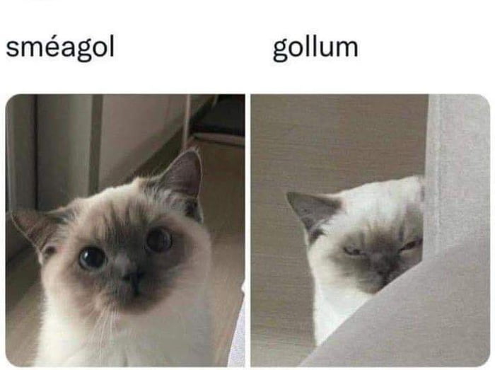 Cute & fluffy or anger & fluffy - 9GAG