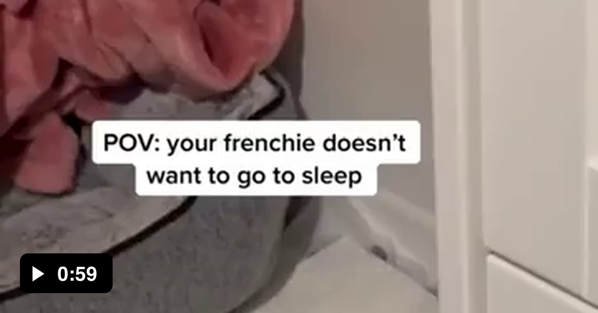 Baby frenchie do not want to sleep yet - 9GAG