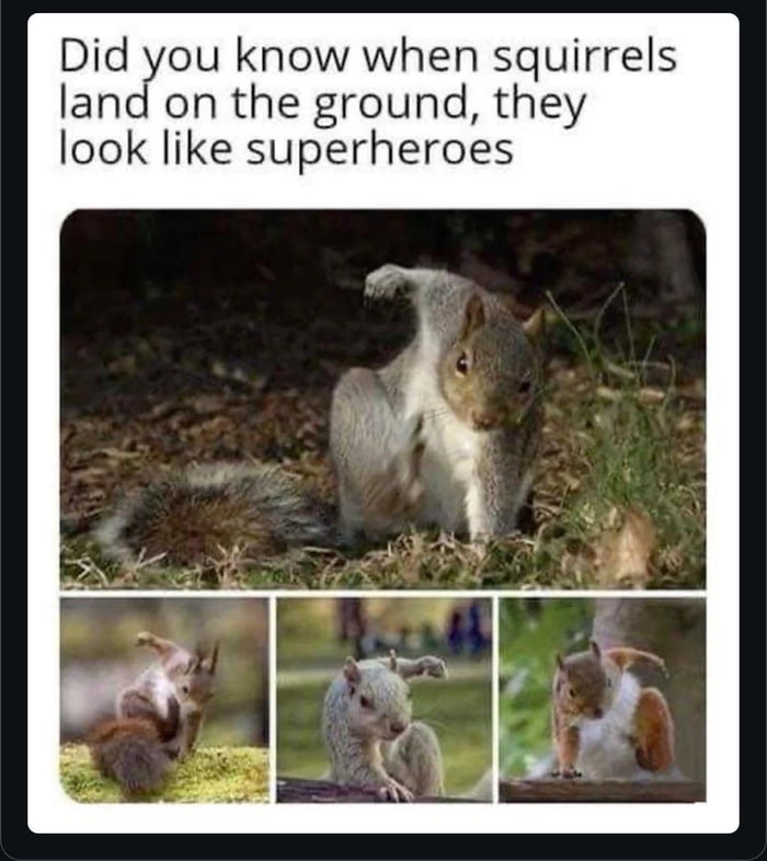 Never fear, Super Squirrel is here!! Lol - 9GAG