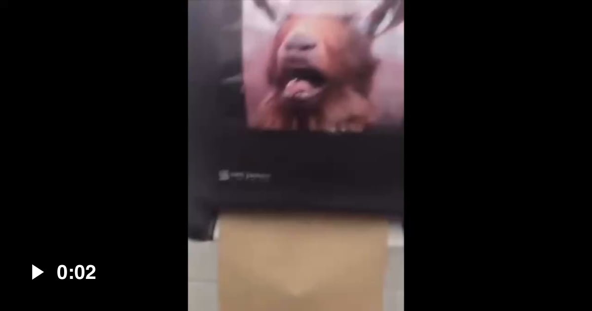 Goat Paper Dispenser - 9GAG