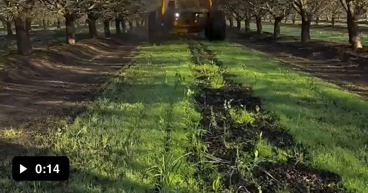 The orchard tree trimmer - 9GAG