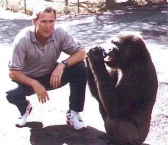 In 1998 George Bush visited a zoo and met a gorilla named Kayla. 1 year ...