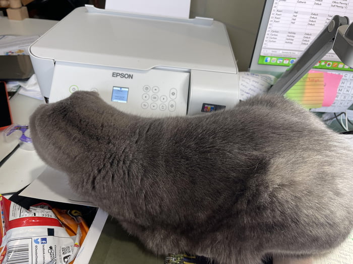 Otis wants to make sure that the printer parts are working. - 9GAG