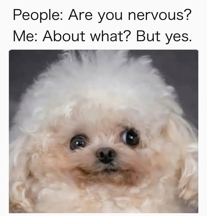 Just perpetually nervous about everything and nothing - 9GAG