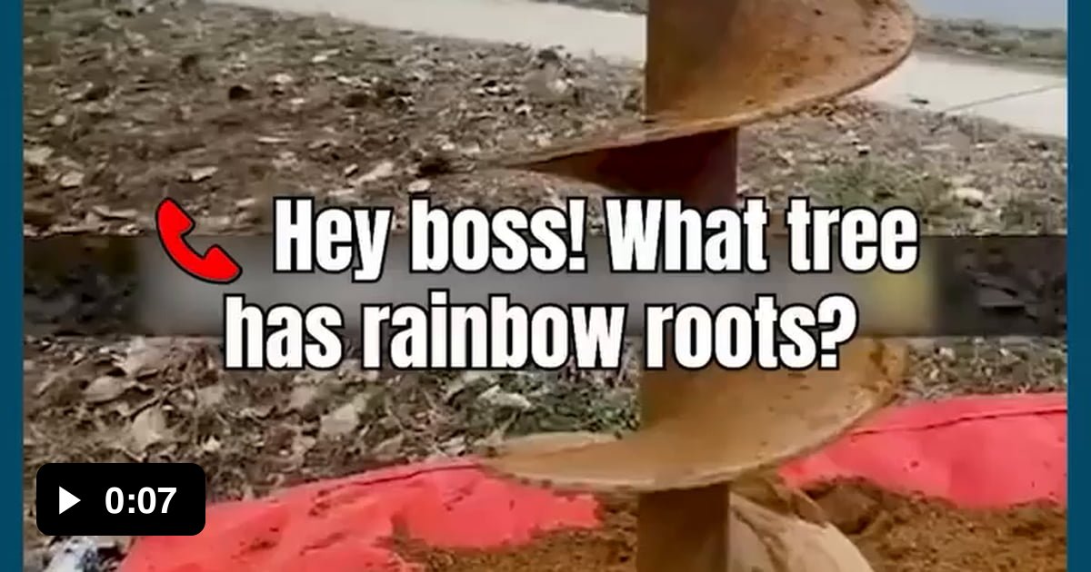 Looks like we found some unusual roots today - 9GAG