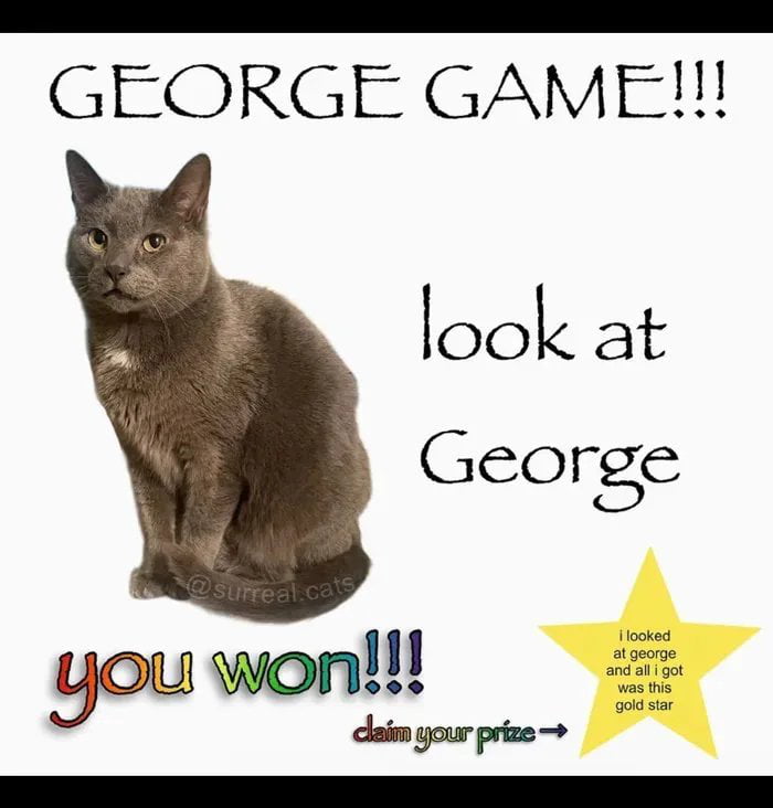 Give me those George Floyd memes - 9GAG