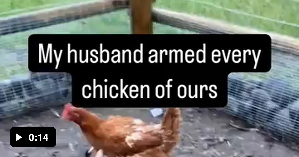 Armed chicken - 9GAG