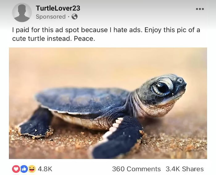 Madlad Turtle Lover - 9GAG