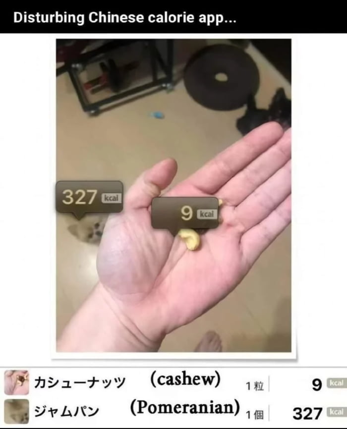 Calorie Counting Gone Wrong - 9GAG