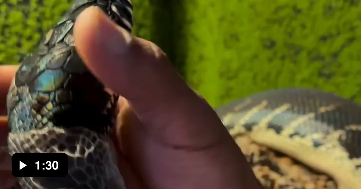 Go with the flow - 9GAG