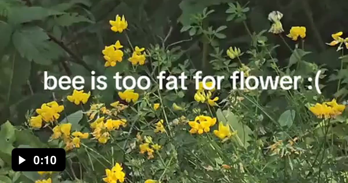 Of a bubble bee - 9GAG