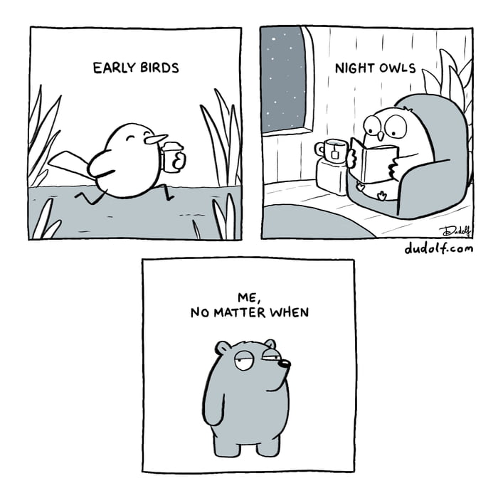 Early birds, night owls... - 9GAG