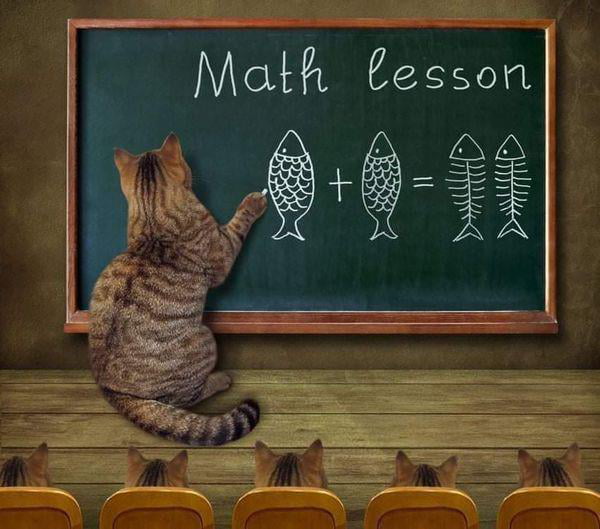 Cute class memes - 9GAG