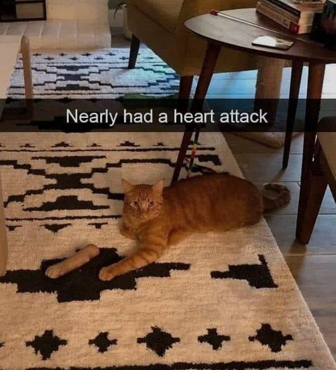 Mini heart attack - 9GAG