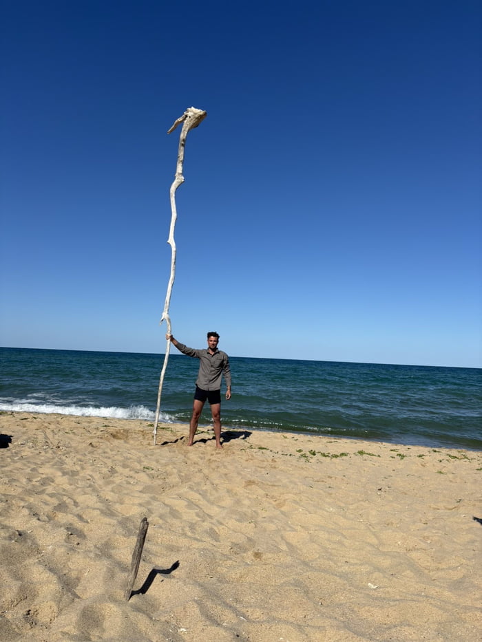 Training for the Stick Olympics. - 9GAG