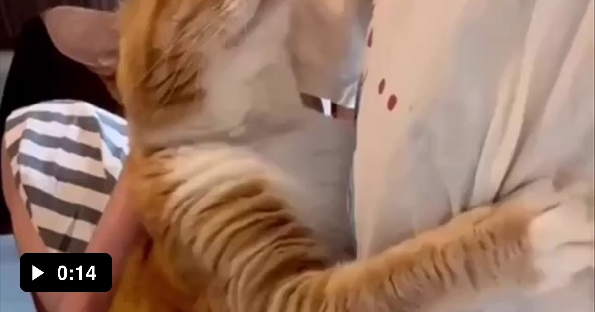 Orang wants big hug - 9GAG