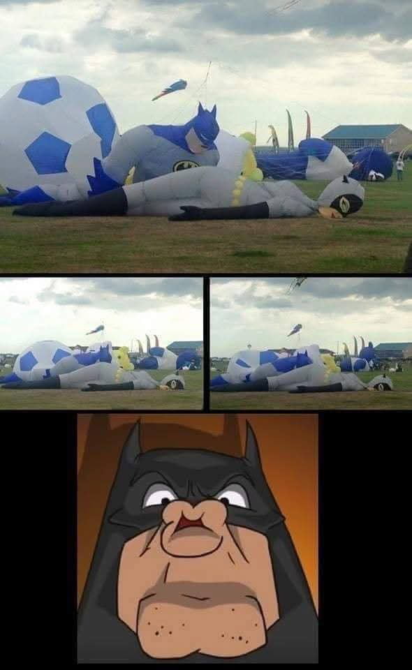 Kitty, kitty, kitty! - 9GAG