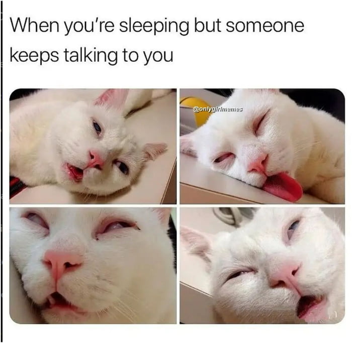 When you're sleeping but someone keeps talking to you - 9GAG