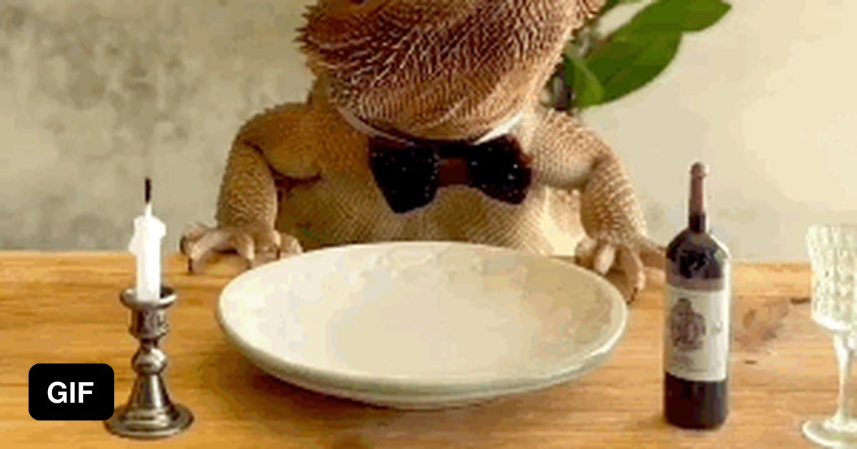 Shit so fancy I need a second monocle - 9GAG