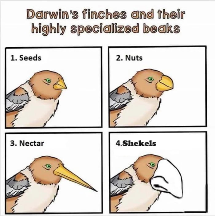 Darwin's finches! - 9GAG