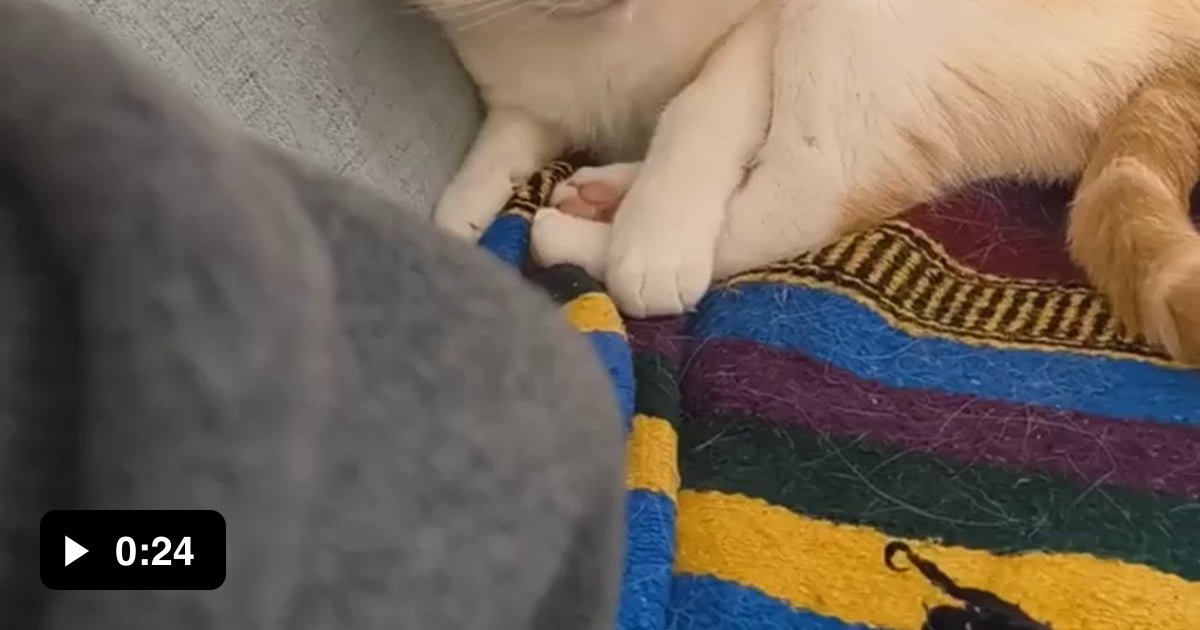 They are so sweet - 9GAG