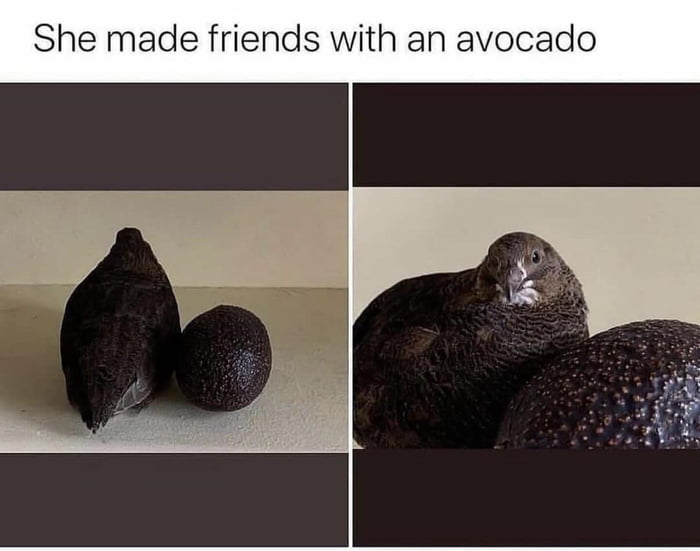 Bffs 🤣 9gag