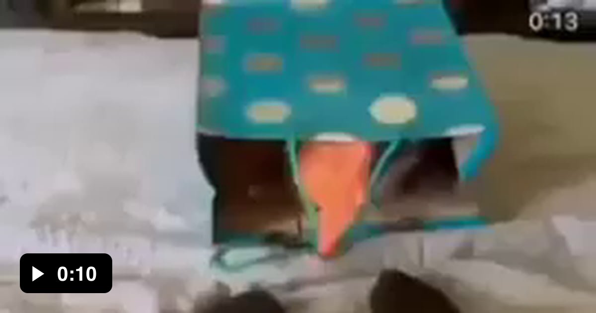 Wtf just. happened - 9GAG